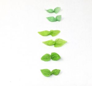 Easy DIY Cherry Blossom Flowering Tree - Paper Glitter Glue